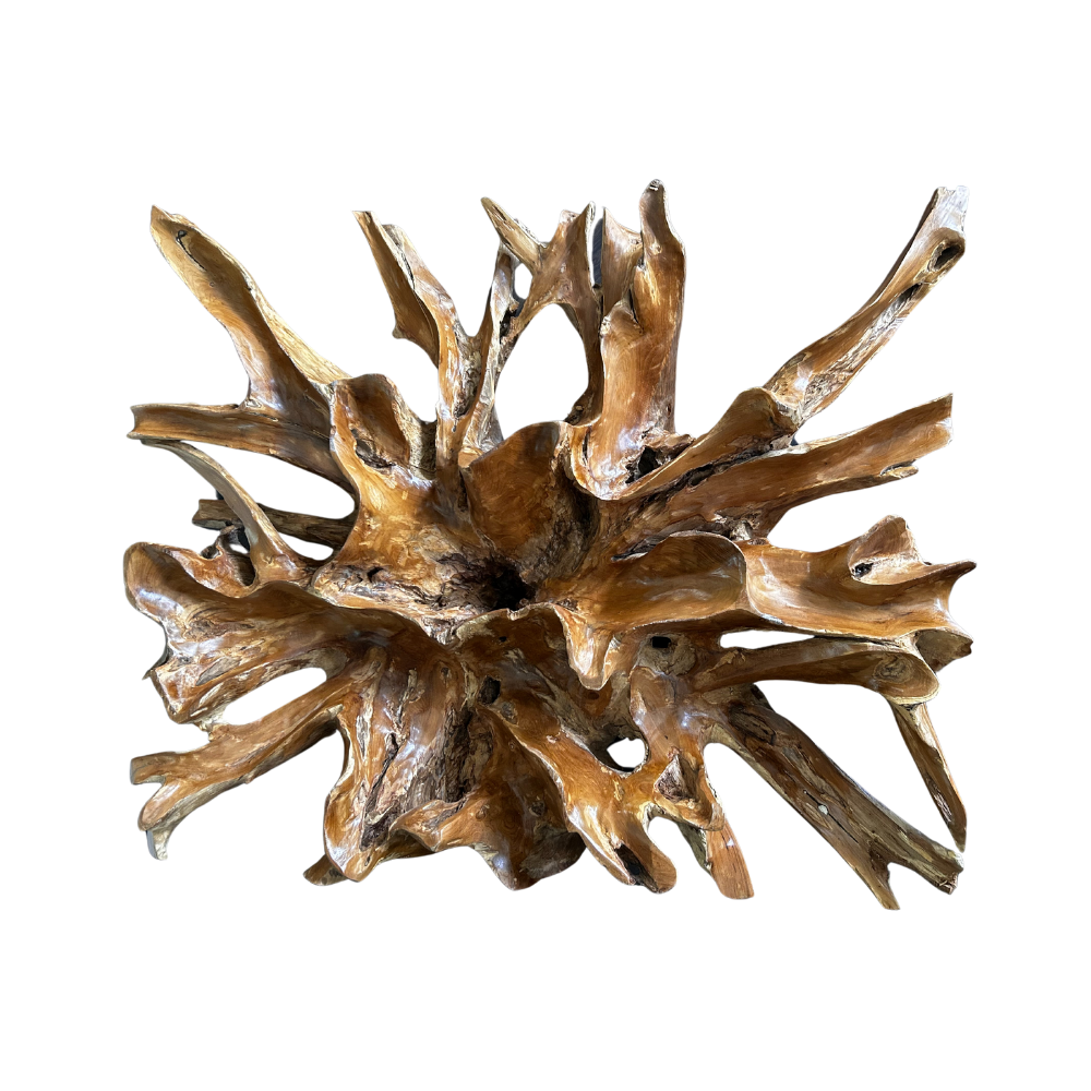 Rectangular Teak Root Coffee Table with Glass Top – SpencerAbbadie