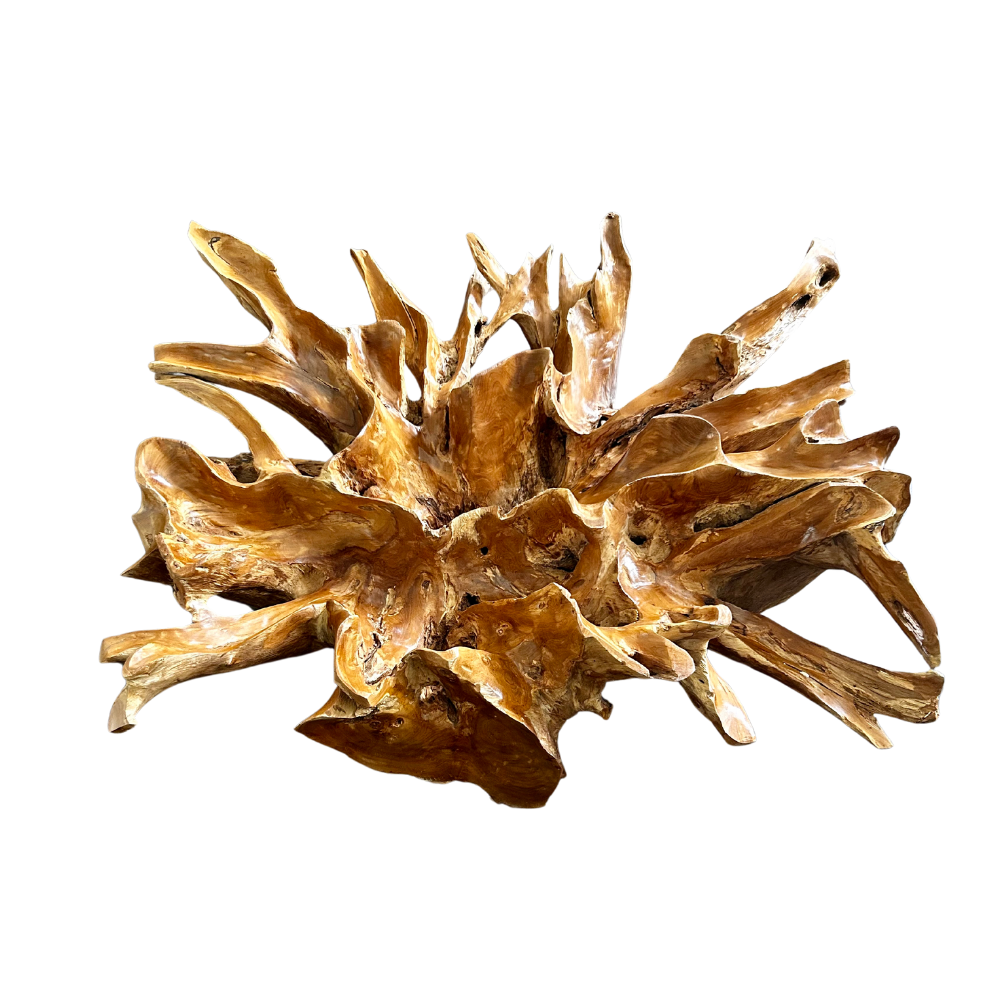 Rectangular Teak Root Coffee Table with Glass Top – SpencerAbbadie