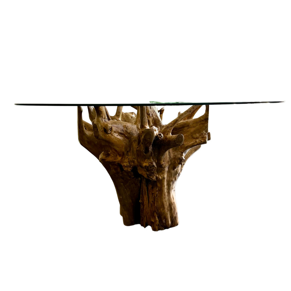 Teak Root Dining Table with Round 60" Tempered Glass Top – SpencerAbbadie