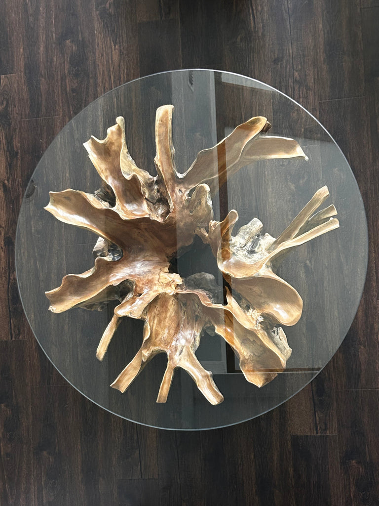 Teak Root Coffee Table with Round Glass Top – SpencerAbbadie