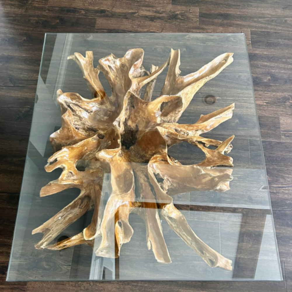 Rectangular Teak Root Coffee Table with Glass Top – SpencerAbbadie