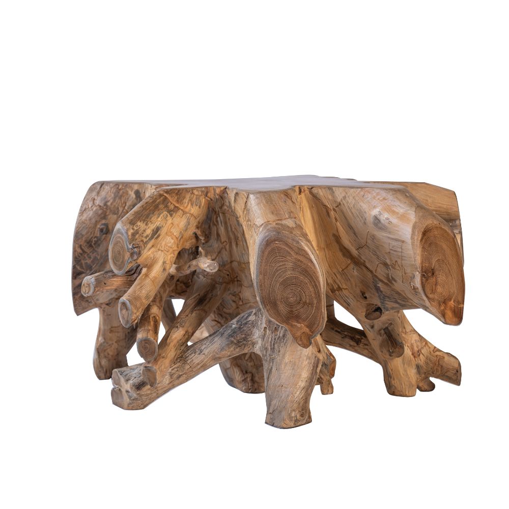 Solid Teak Root Coffee Table – SpencerAbbadie