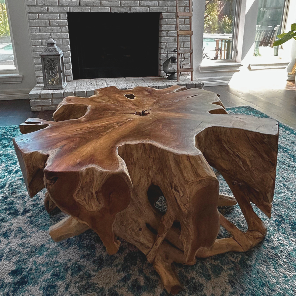 31” Solid Teak Root Coffee table – SpencerAbbadie